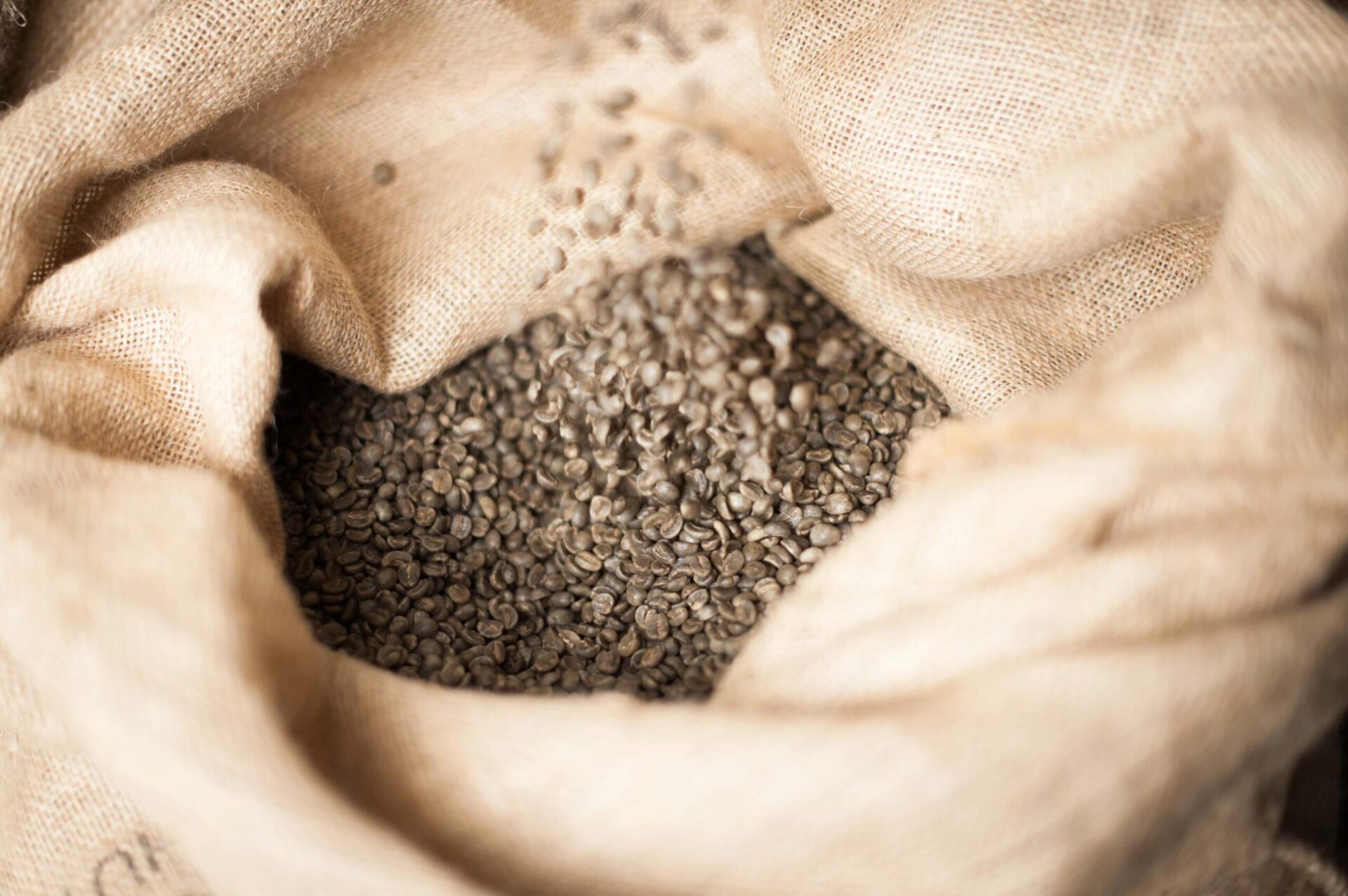 The Grades of Coffee - Two Chimps Coffee
